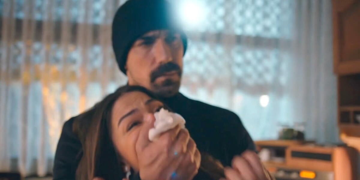 My Home My Destiny anticipazioni: Mehdi rapisce Zeynep!